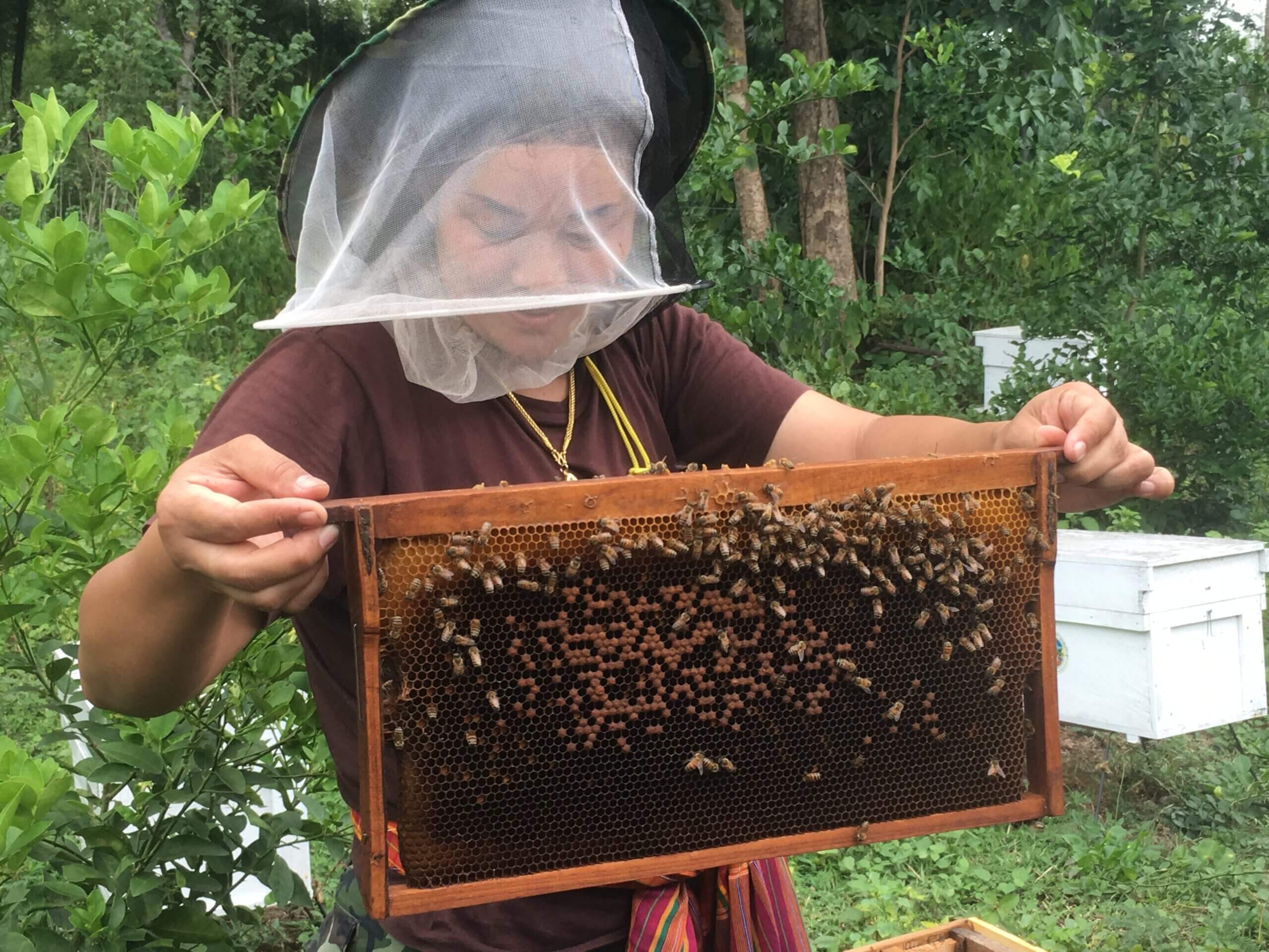 Media - Type 1 Way Ticket Travel